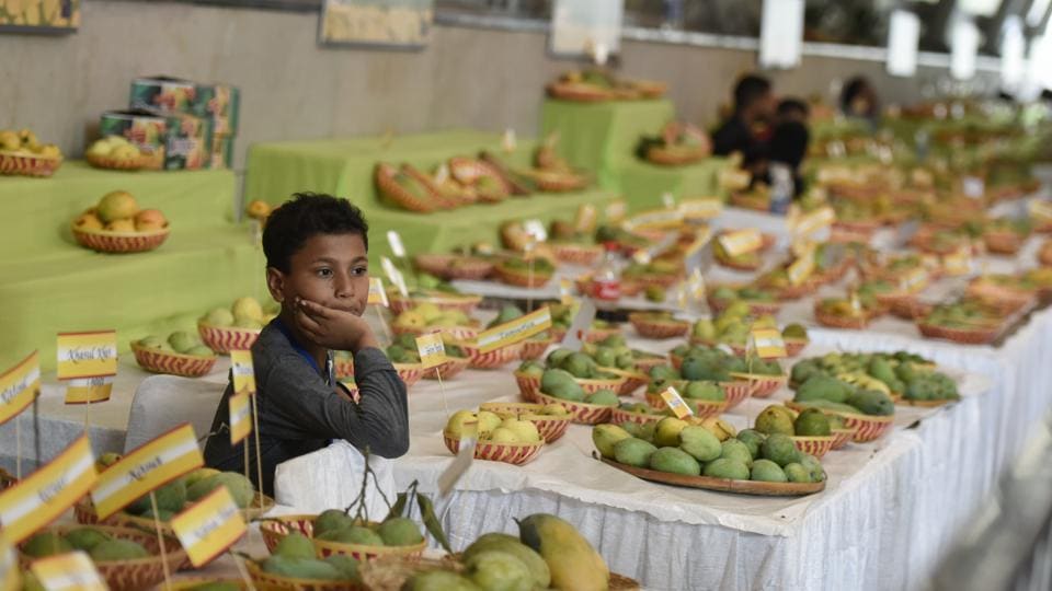 Photos| Mango Festival 2018: Growers showcase over 500 varieties in ...