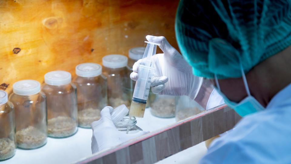 Pink world’s oldest biological colour, scientists say new find may shed ...