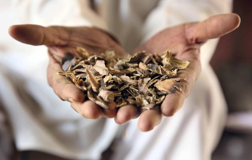 Poppy husk smuggling up in Barmer, but no excise case registered in 10 ...