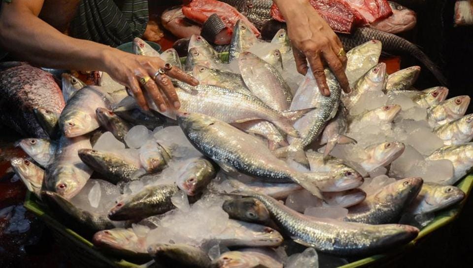 Meghalaya bans fish import for 15 days after tests reveal formalin ...