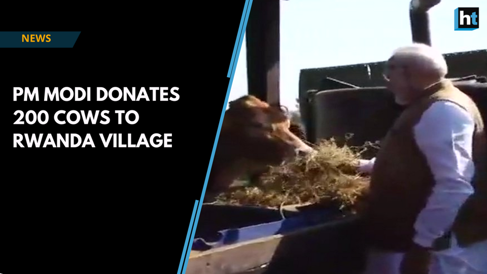 PM Modi donates 200 cows to Rwanda village | Hindustan Times