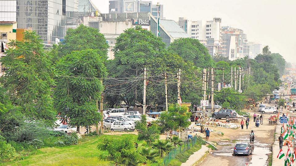 ‘Ensuring a healthy environment is the duty of every individual ...