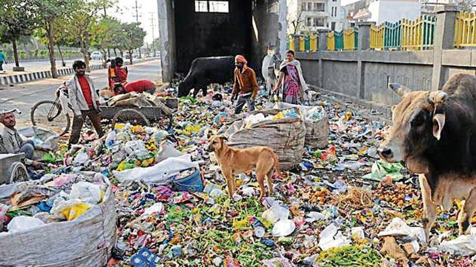 Door-to-door collection of waste in Noida to begin in December ...