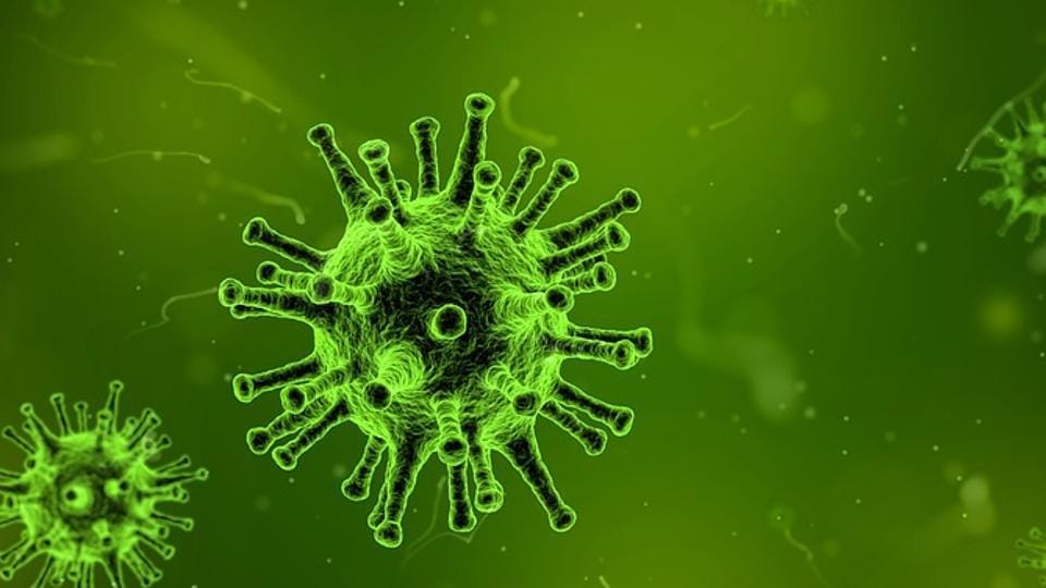 Scrub typhus: Deadly bacterial disease kills 15 in Nagpur, lands 70 in ...
