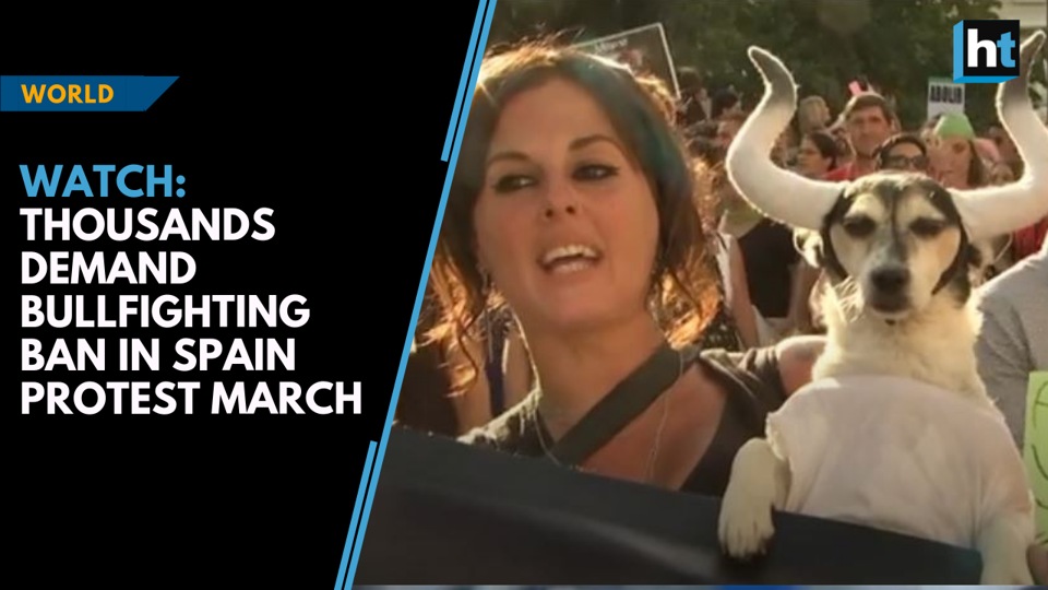 Thousands demand bullfighting ban in Spain protest march | Hindustan Times
