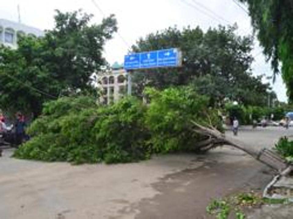 Rain claims two lives in Ambala; seven injured | Latest News India ...