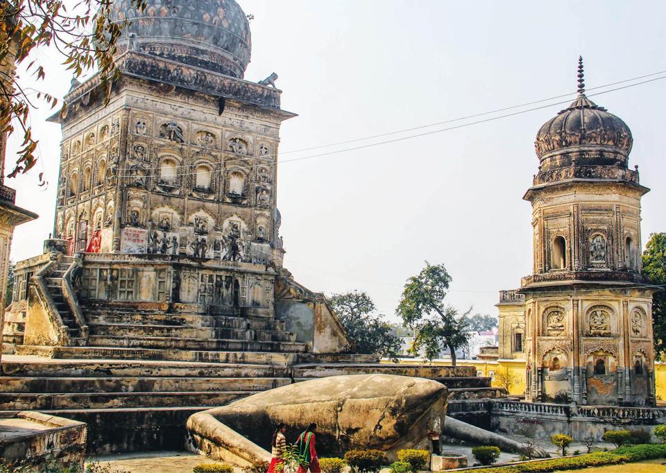 Travel to Dudhwa: The laughing tree and other such stories | Hindustan ...