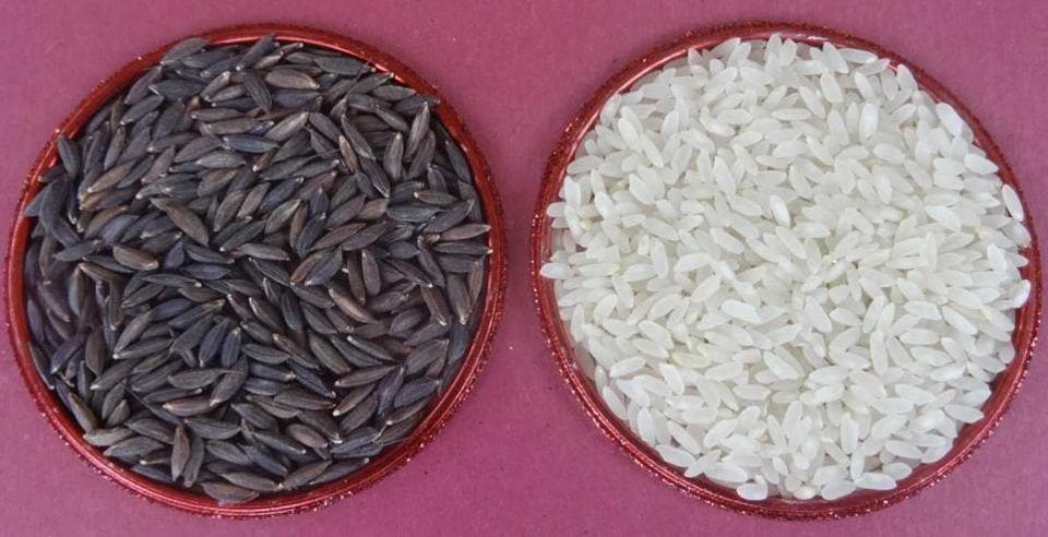 Aroma Of Kala Namak Rice To Waft Abroad Now Hindustan Times