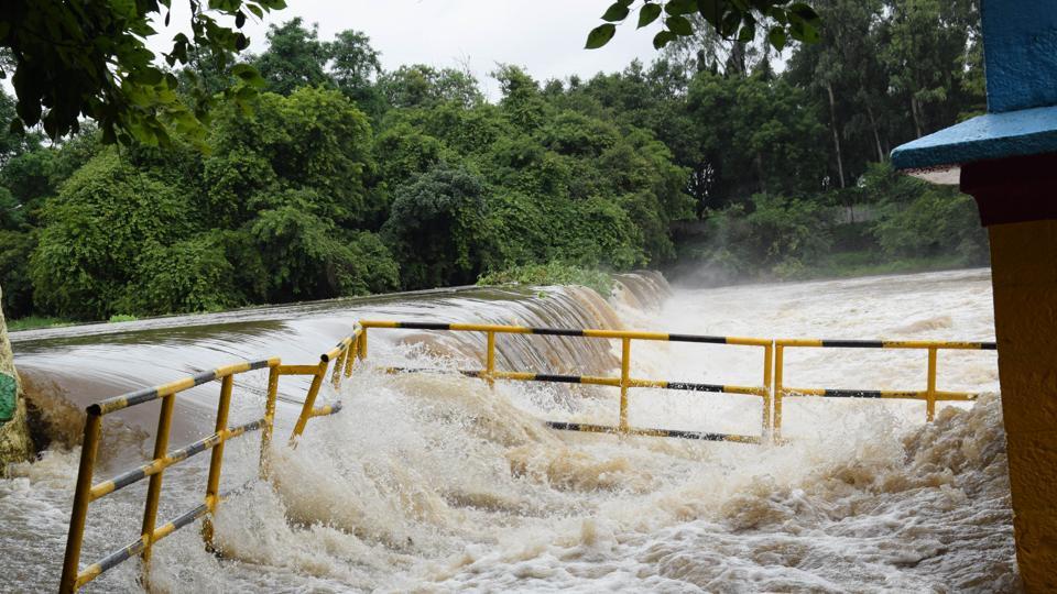 Alert after predator North American fish found in Pune’s Pavana dam ...