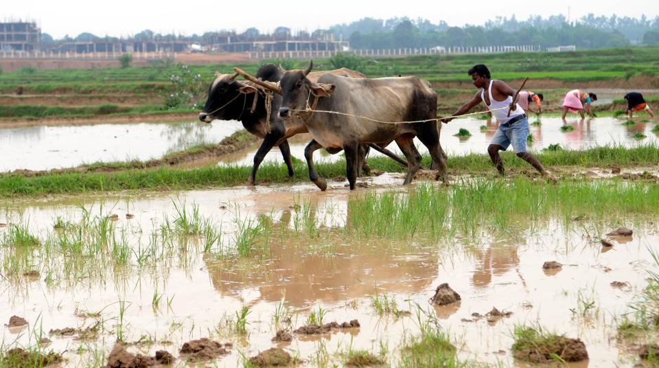 MP farmers complain about loan waiver of paltry sum, BJP up in arms ...
