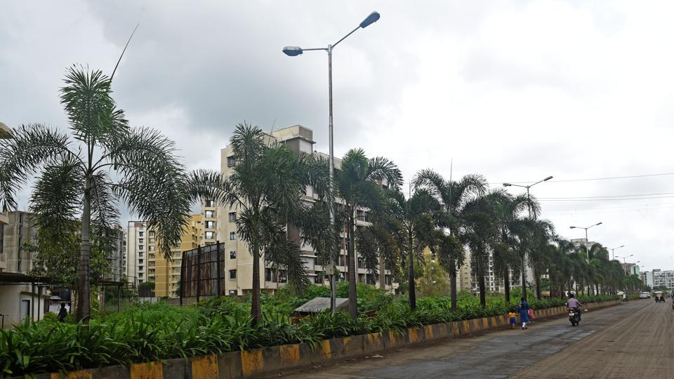 Semal tree in Delhi’s Green Park axed despite protest by locals ...