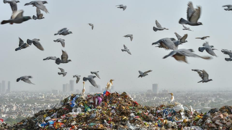 Bulk waste generators must segregate on site in Gurugram | Hindustan Times