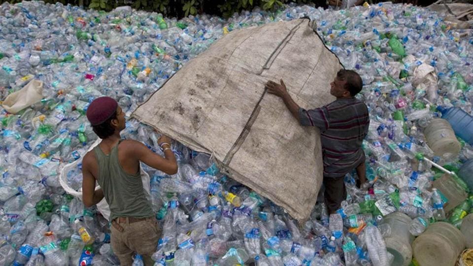 Humans consume ‘tens of thousands’ of plastic pieces each year | World News