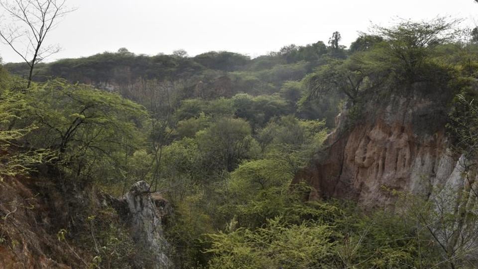 Latest Aravallis’ report highlights range’s archaeological significance ...