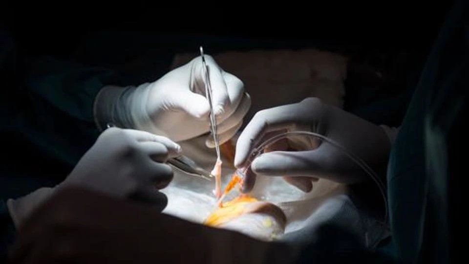 Arm reattached, man can now hold objects | Mumbai news - Hindustan Times