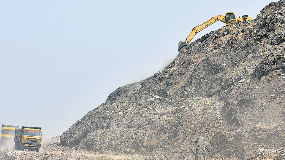 Green capping of Bhalswa landfill makes it almost quiet this summer ...