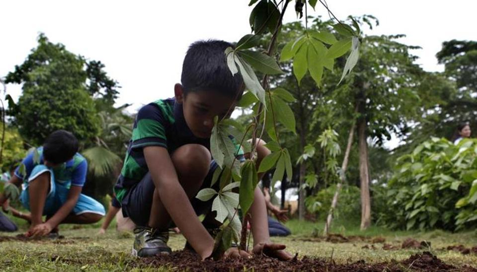 One sapling to be planted for each enrolment in Rajasthan government ...