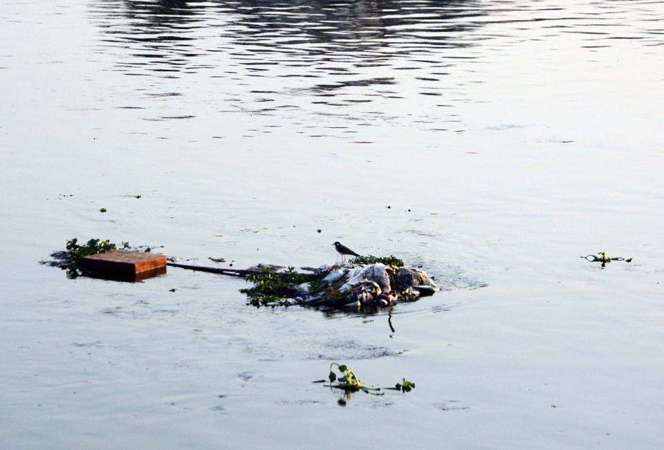 Excreta in Pune’s Mula-Mutha three times above safe limit | Hindustan Times