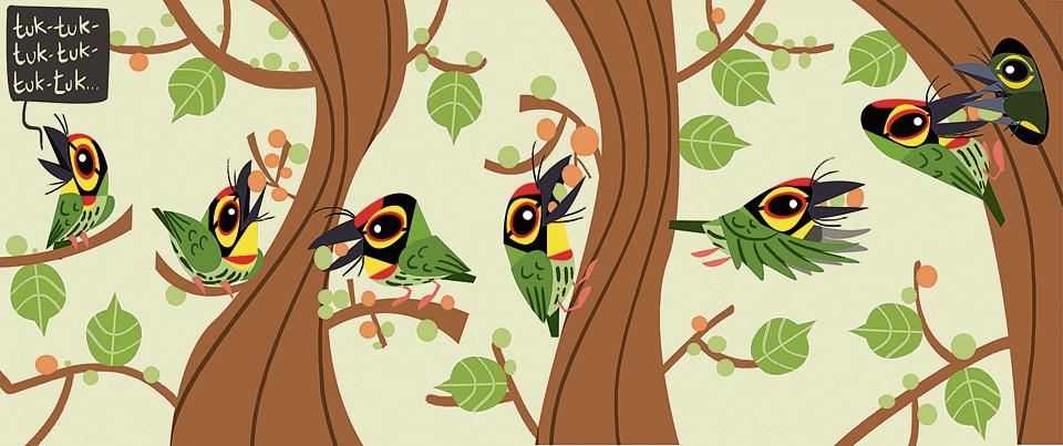 Interview: Rohan Chakravarty on his book, Bird Business - Hindustan Times