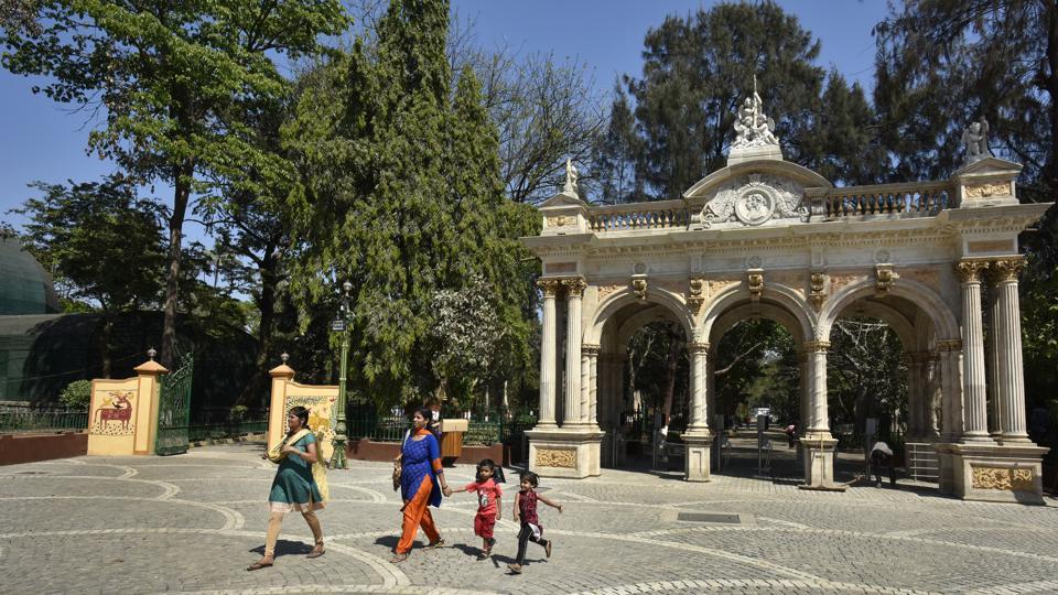 Mumbai zoo set to get 2 pairs of lions from Gujarat | Mumbai news