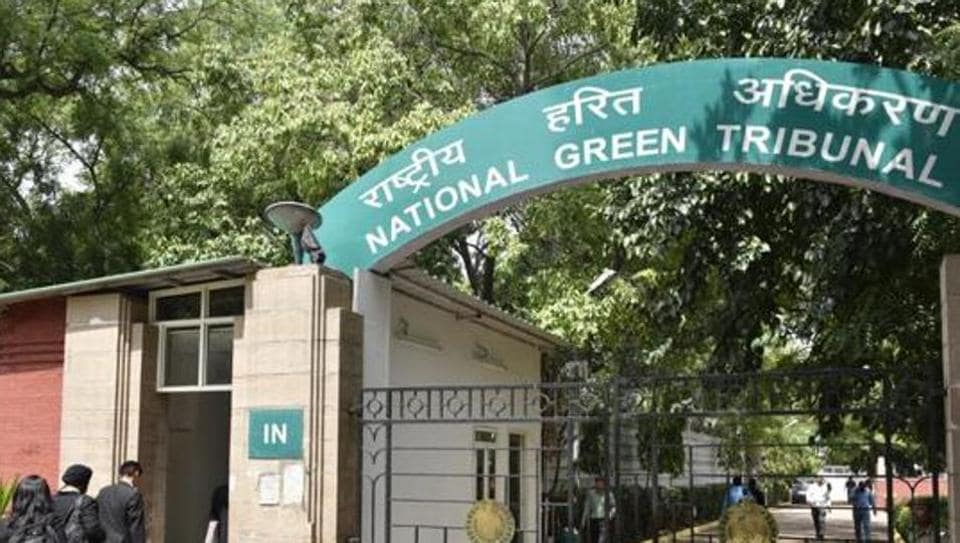 Vegetable farming continues despite NGT ban on it since 2015 | Latest ...