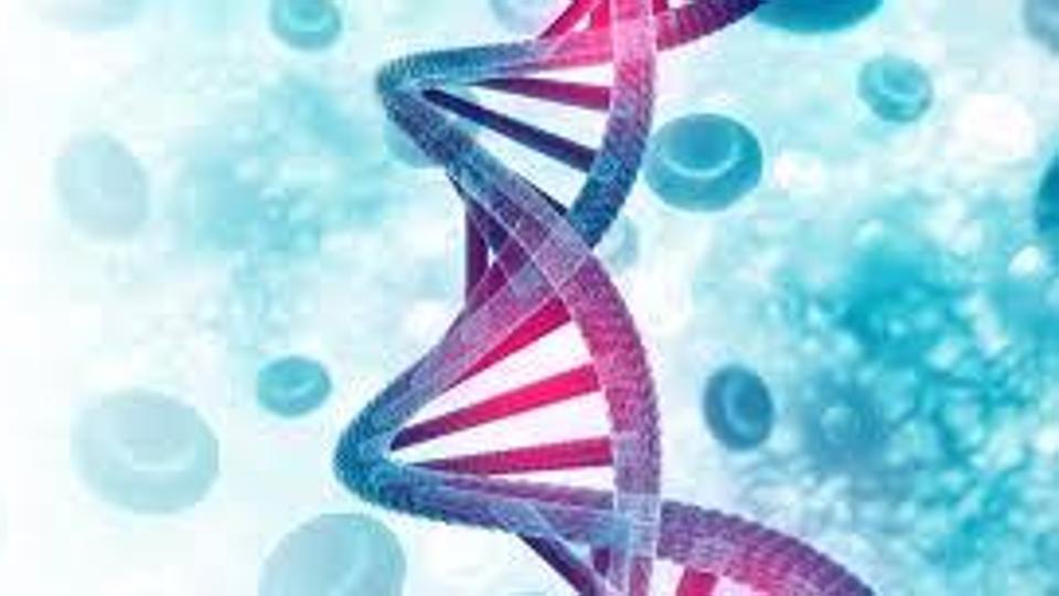 FSL officials in dock for fake DNA report | Latest News Delhi