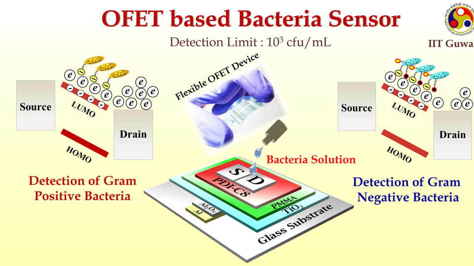 IIT Guwahati researchers develop device to detect bacteria almost ...