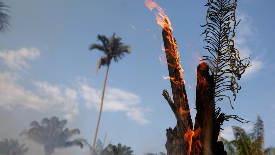 Amazon burning: Brazil reports record forest fires | World News
