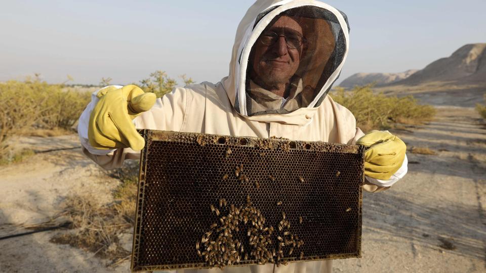 Photos: Israeli farmer turns perfumer, recreates biblical fragrances ...