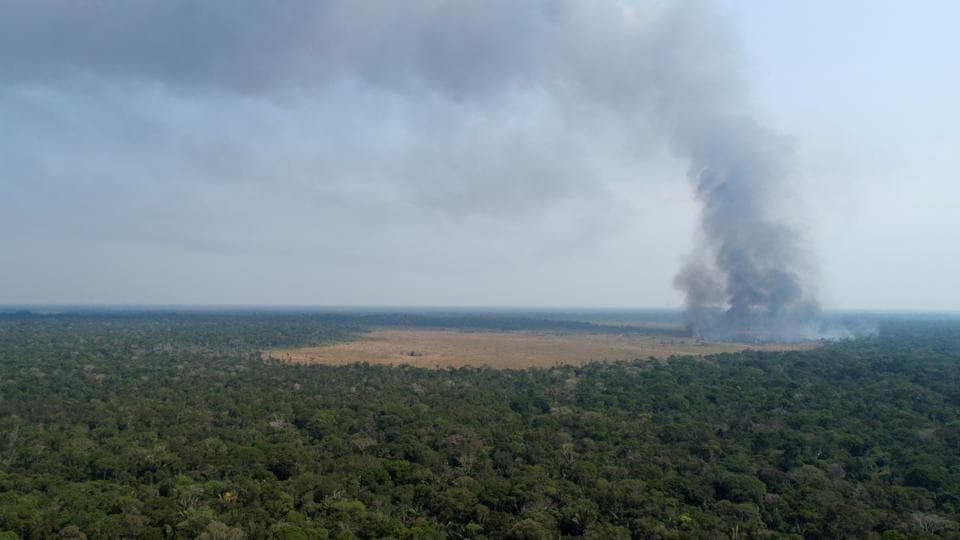 Amazon forest fire rages, why you should care | World News