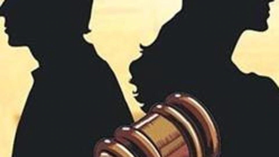 Woman in live-in relationship like a concubine, says Rajasthan human ...