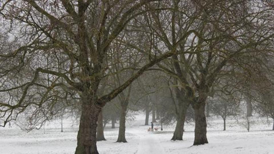 UK braces for coldest winter in 30 years, say scientists | World News