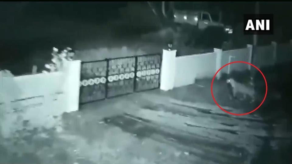 Leopard enters Karnataka home, runs away with pet dog. Watch scary ...