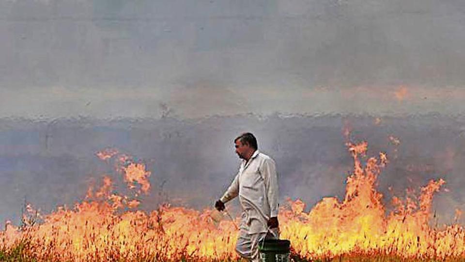 NASA images show red dots of early stubble burning in northern states ...