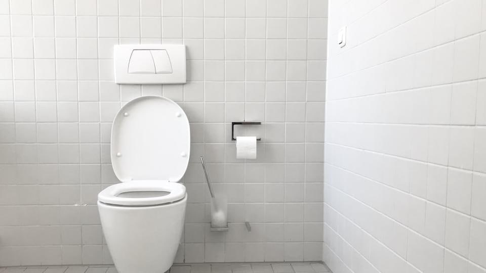 Poor toilet hygiene, not undercooked food, behind superbug spread ...