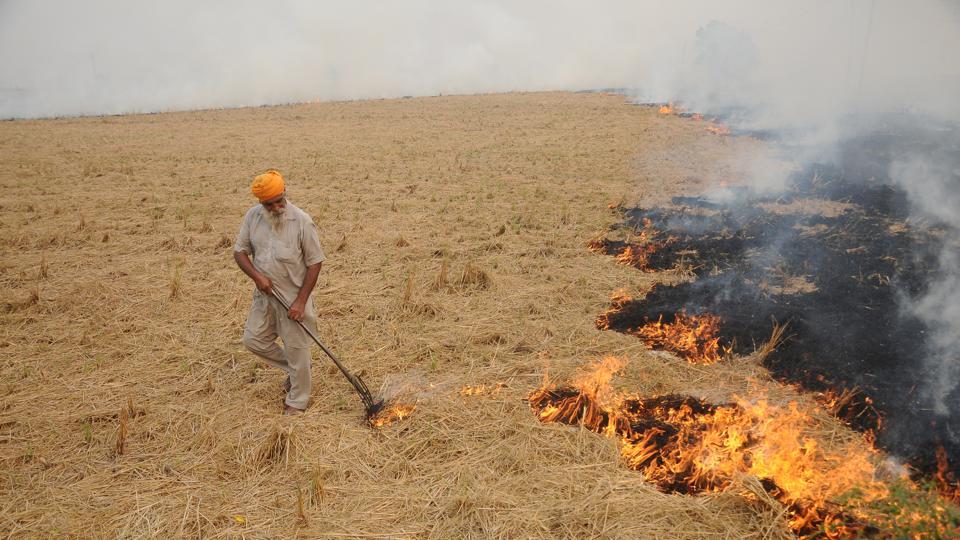 State sees season’s highest farm fires in a day, AQI stays ‘poor ...