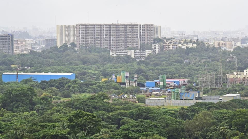 Petition in HC is another hope to save Aarey | Mumbai news