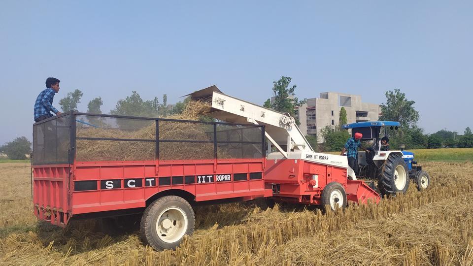 IIT Ropar develops cheaper, more cost-effective stubble removing ...