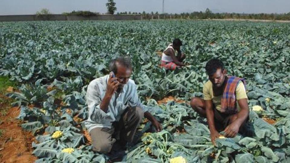 Goa likely to have Organic Agriculture University soon | Hindustan Times