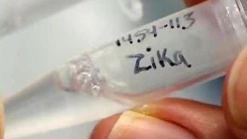 Study finds sustainable way to block dengue and Zika virus - Hindustan ...