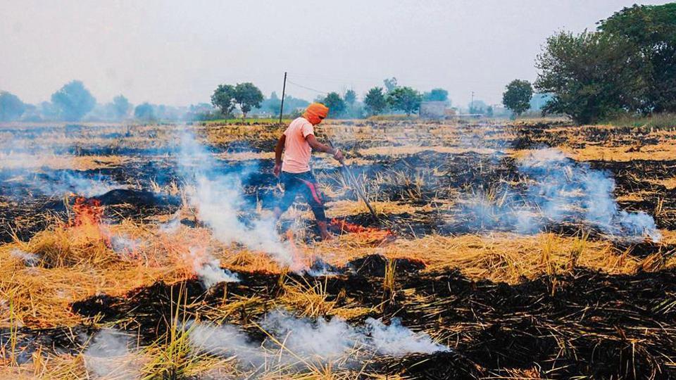5 lessons from Punjab’s failed drive to curb stubble burning ...