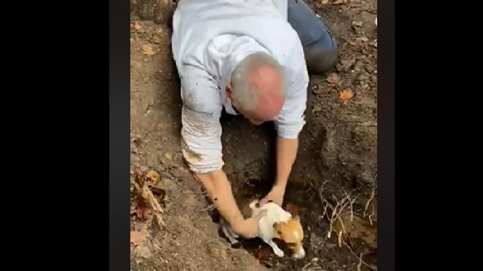 Man finds lost pet dog after days, video will melt your heart | Trending
