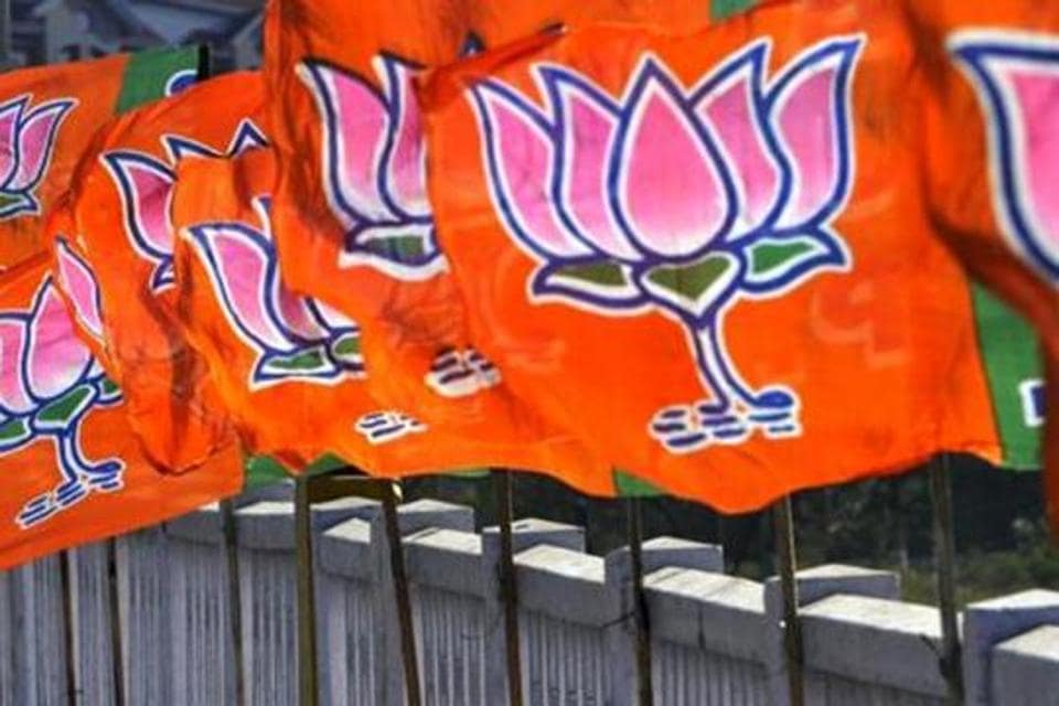 BJP’s hegemony and party structure spark concerns. But its power is ...