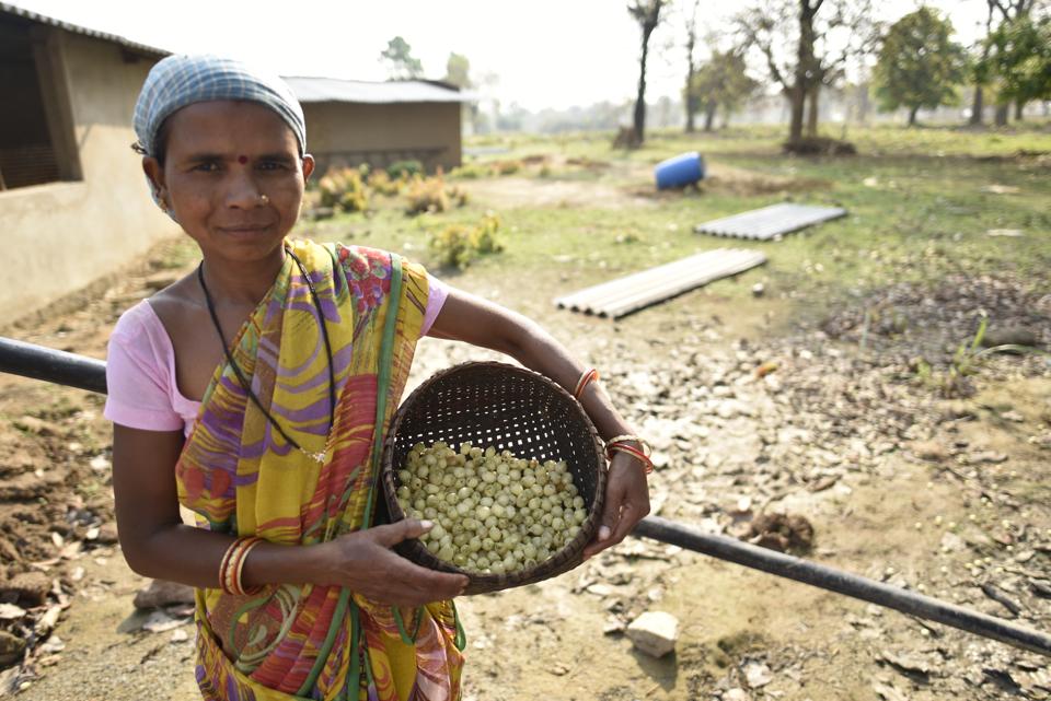 How Chhattisgarh offers a new development model | Hindustan Times