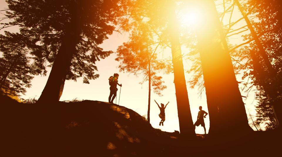 Heading out for a nature adventure? Here are 5 hiking gear essentials ...