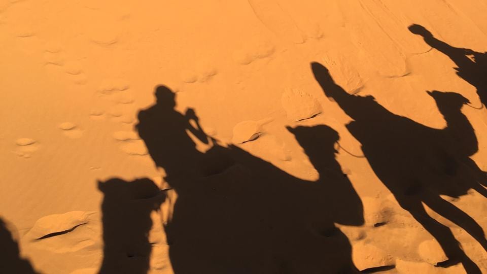 Woman falls off camel, sues tour company | Trending