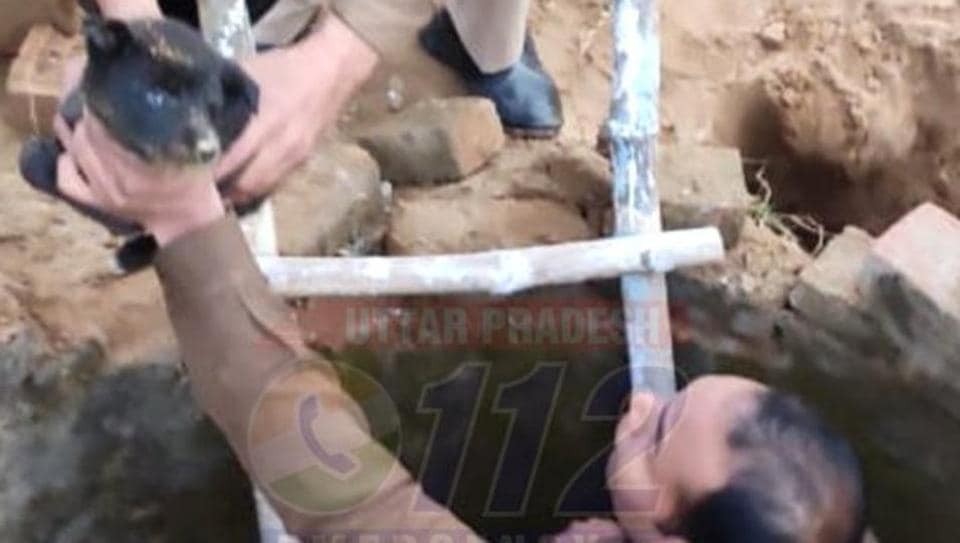 UP cop climbs into snake-infested well to rescue 3 puppies, wins ...