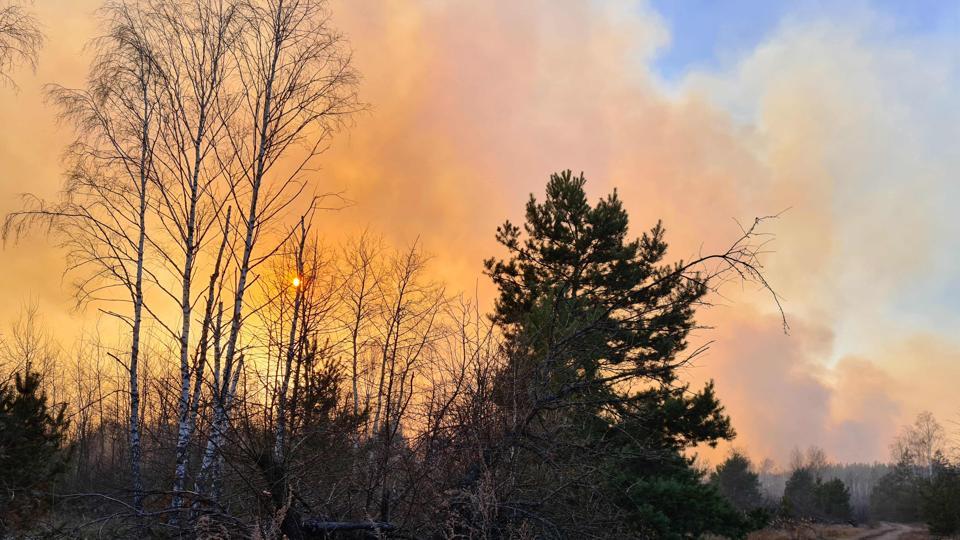 Radiation spike as forest fire hits Chernobyl nuclear zone | World News