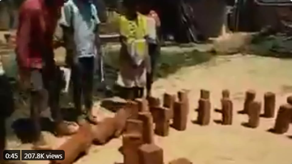 Kids use bricks to show how COVID-19 spreads, PM Modi calls it a ‘big ...