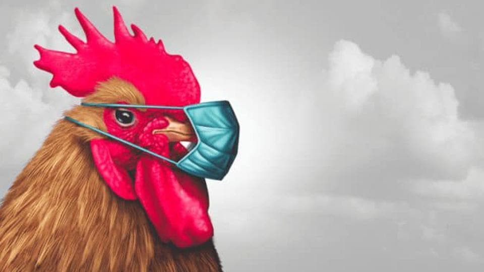 Cops search for ‘aggressive’ perpetrator terrorizing people going to ...